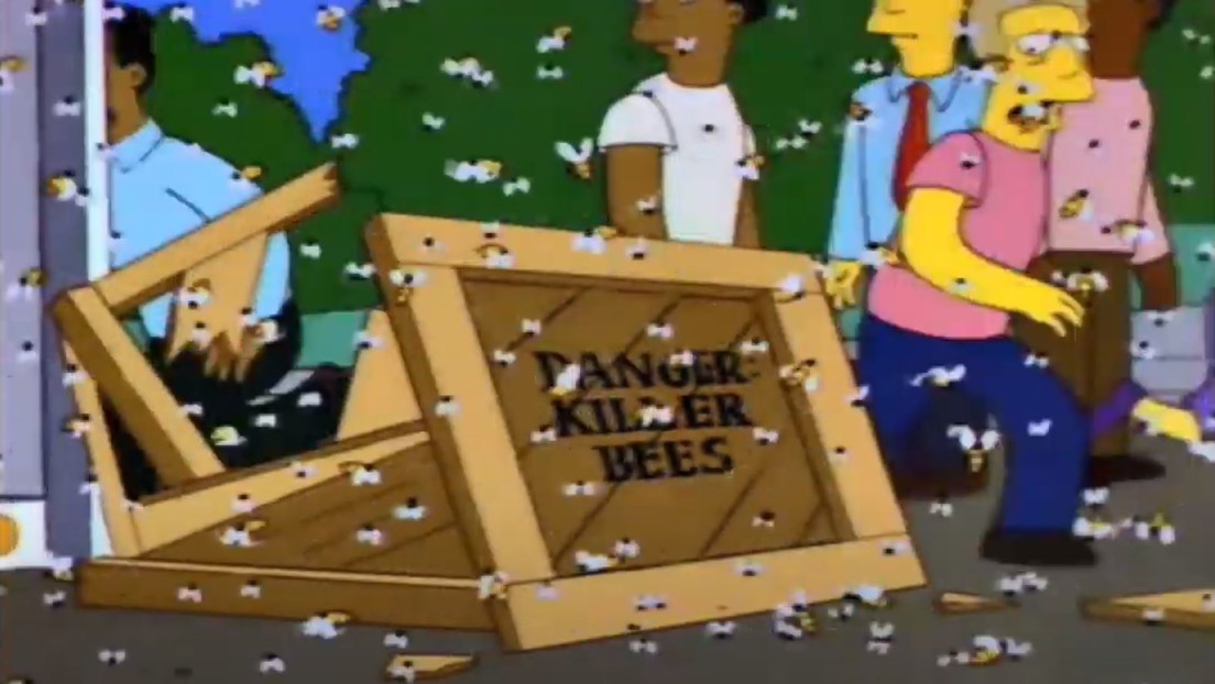 Guionista de Los Simpson “admite” que la serie predijo abejas asesinas ...