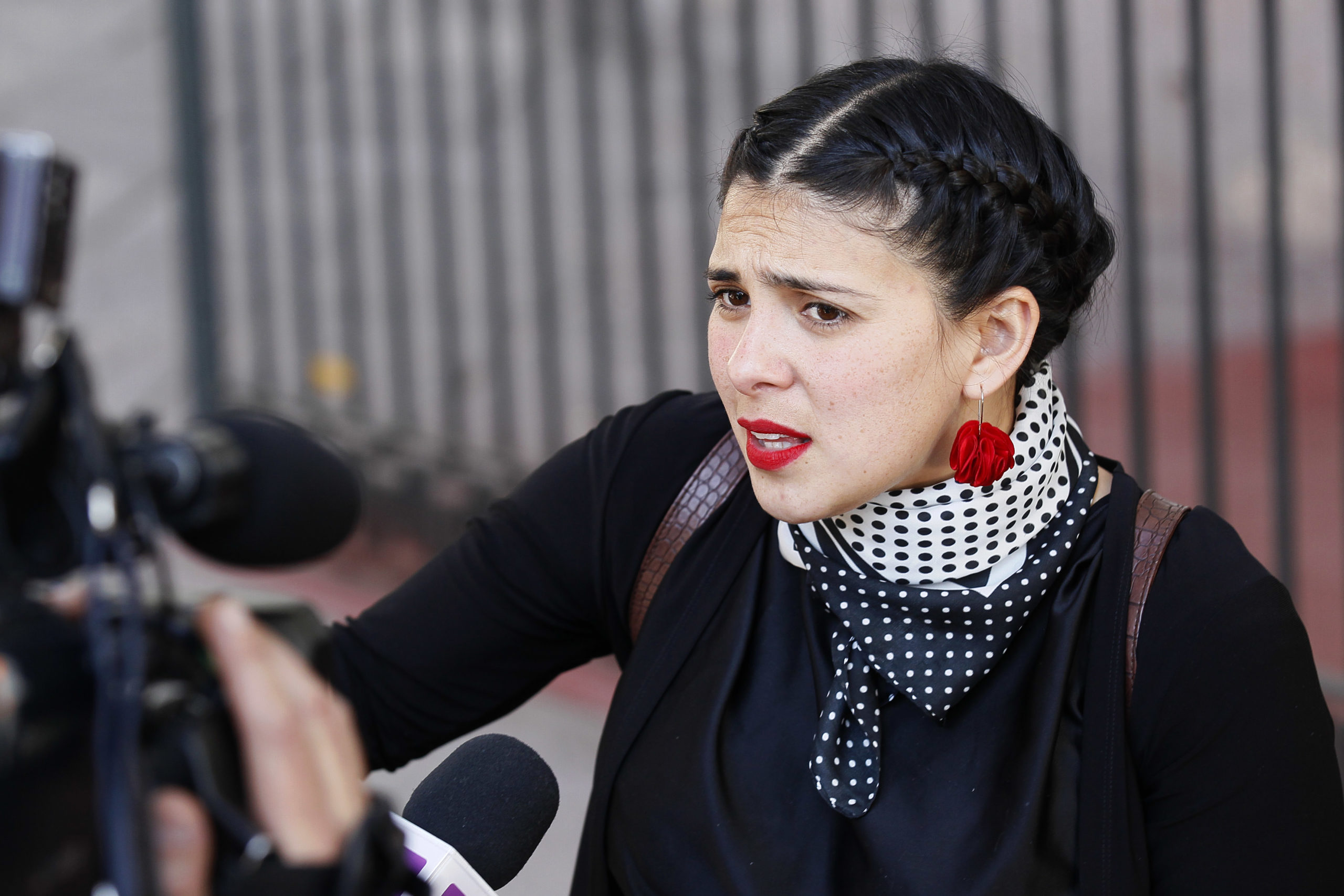 Cariola critica al Gobierno por venezolanos que no pueden ingresar a Chile