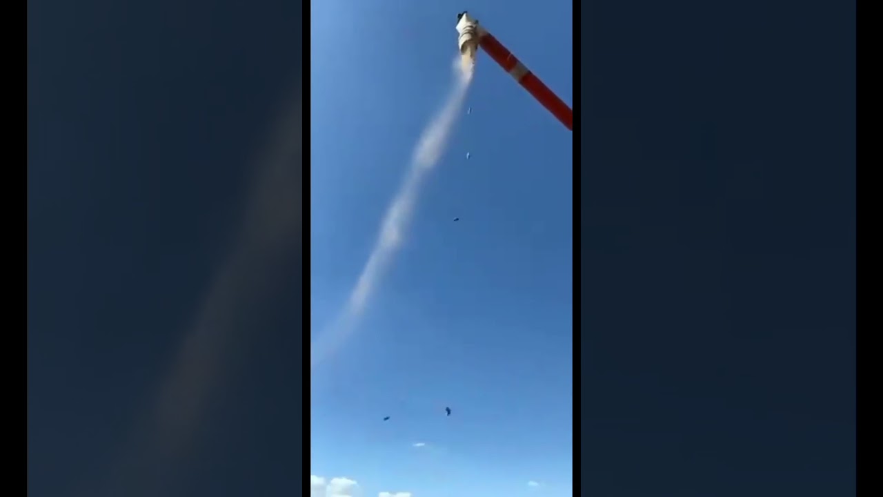 VIDEO | Miles de ratones caen tras limpieza de graneros en Australia