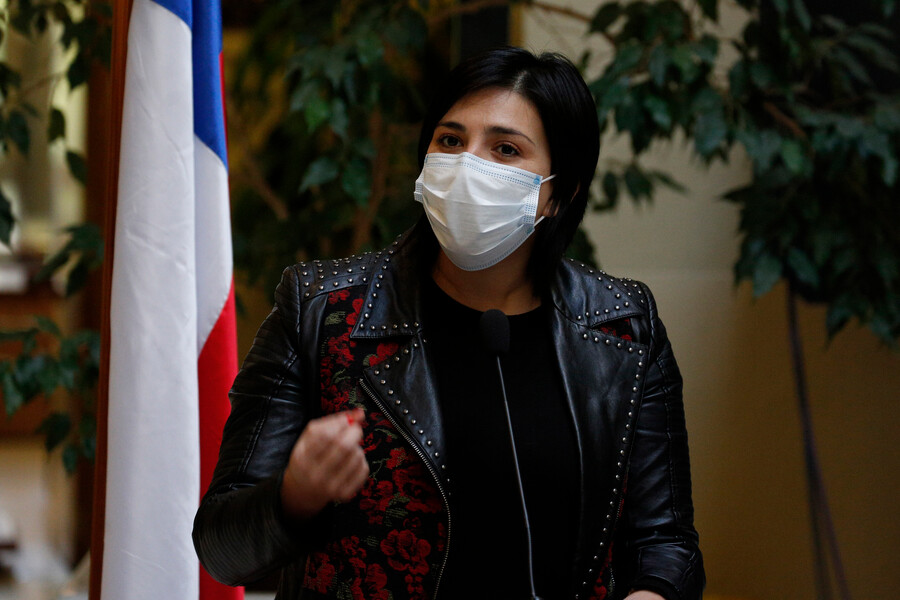 Cariola no descarta acusación constitucional contra ministro Paris por ...