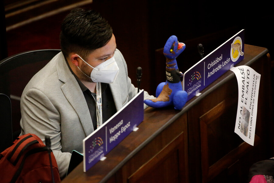 Convencional “Dino Azulado” defendió a Rojas Vade: “No hay una prueba ...