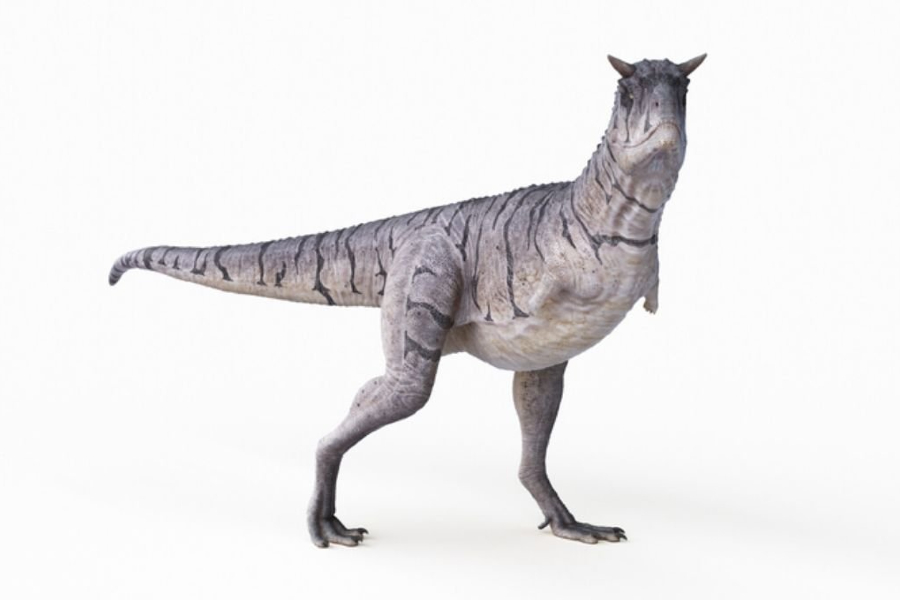 Hallazgo en Argentina: Descubren la nueva especie de dinosaurios sin ...