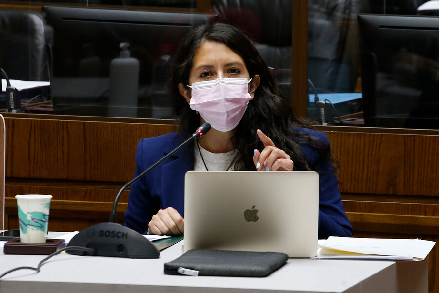 Diputada Yeomans afirma estar disconforme con su sector por tramitar ...