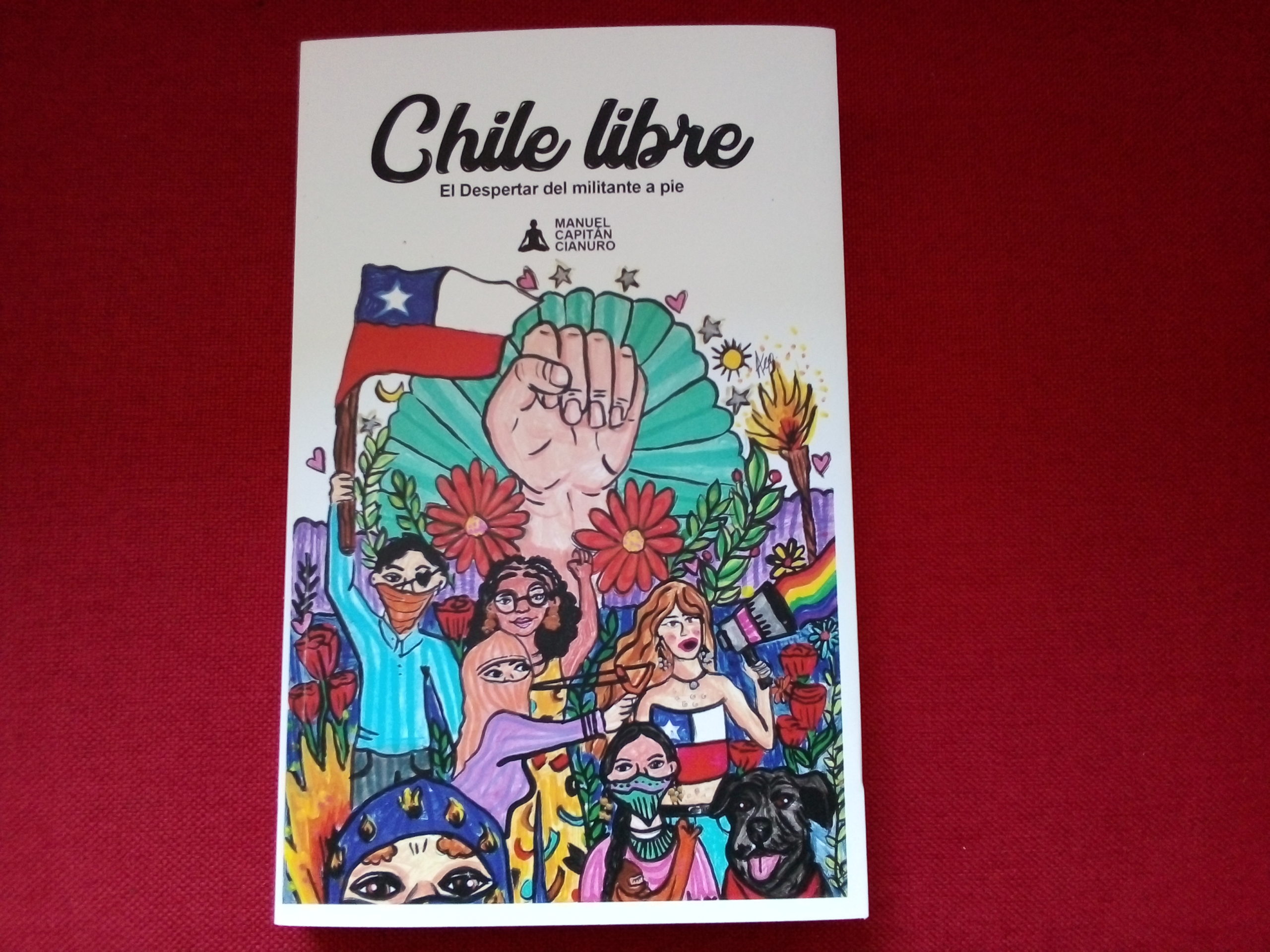“Chile Libre, el despertar del militante a pie”: la historia de los dos ...