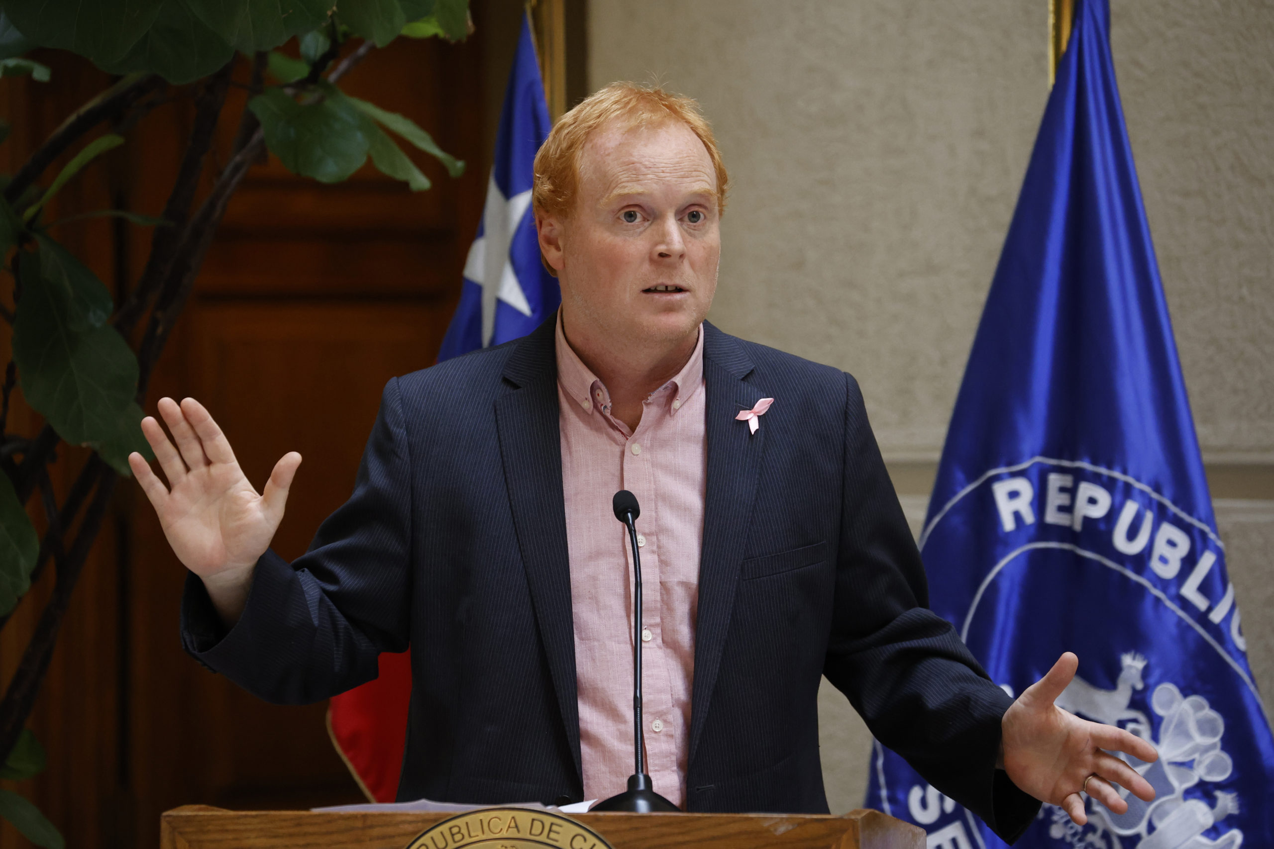 Edwards emplazó a Chile Vamos a preguntar a sus bases si quieren otra ...