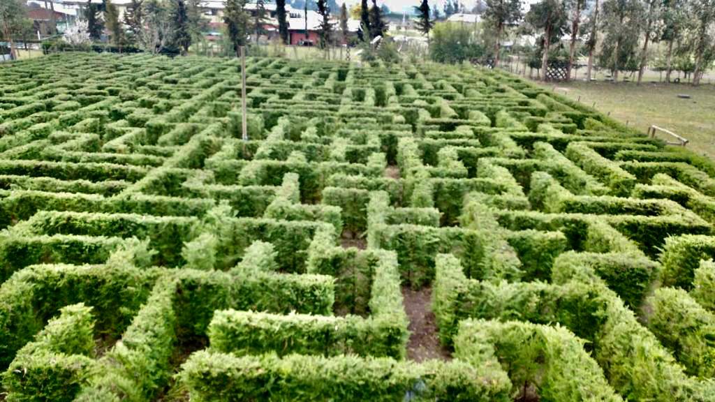 Laberinto San Fernando estrena “tétrico” recorrido para Halloween