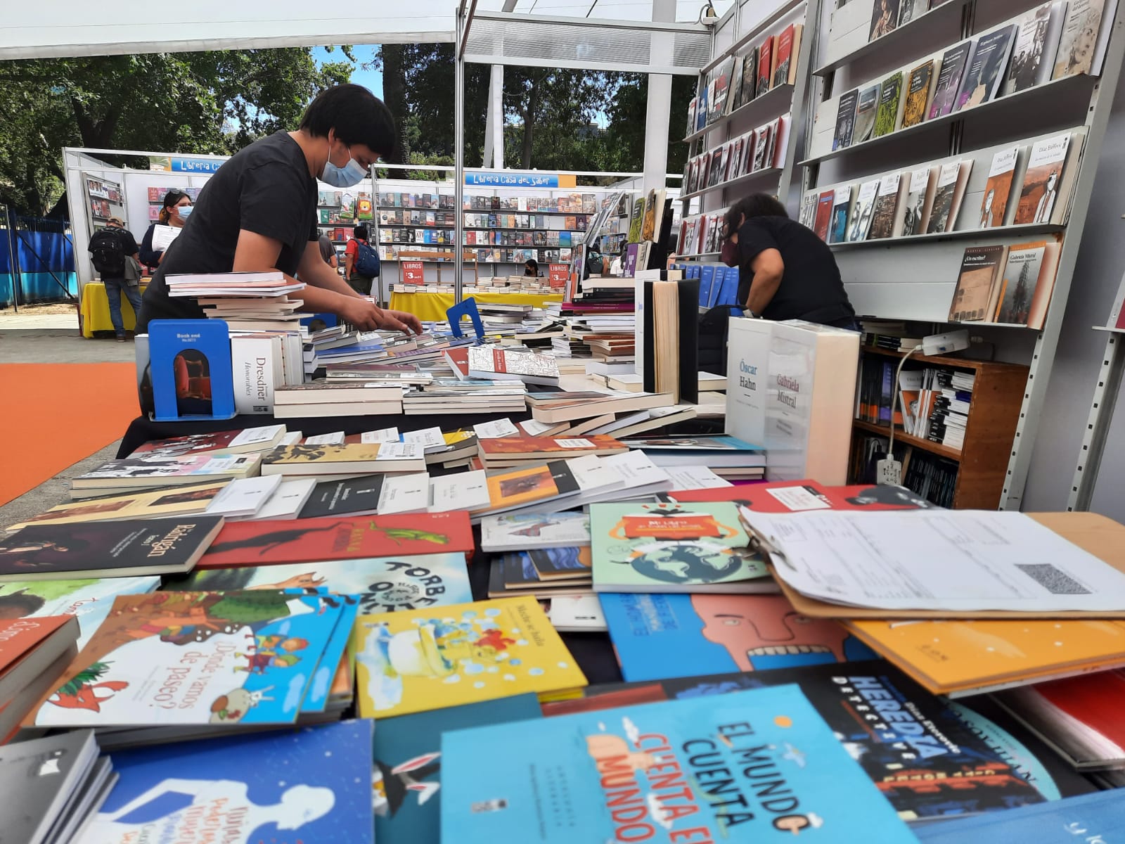 Filsa 2022 abre sus puertas este viernes 11: conozca las novedades del ...