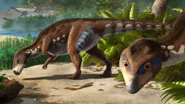 Científicos hallan una nueva especie de dinosaurio enano que habitó en ...