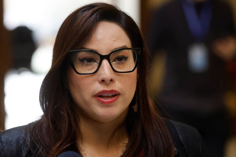 “Extrañarte…”: El mensaje de despedida de la diputada Mónica Arce a su hermano, fallecido por ...